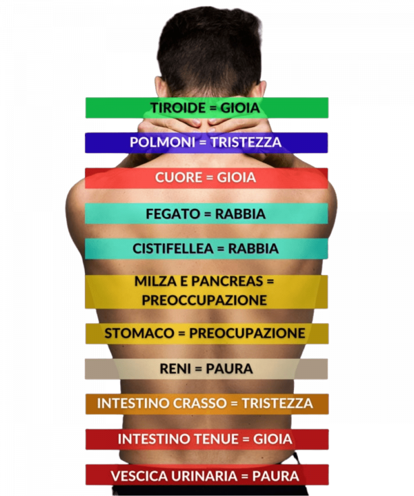 zoneriflesse.net – zoneriflesse.it